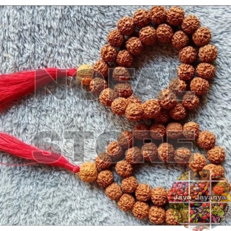 Jual TASBIH 33 JENITRI RUDRAKSHA ATAU GELANG RUDRAKSHA JENITRI Jaya ...