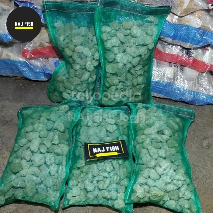 Jual Pumice Batu Apung Media Filter Aquarium Aquascape dan Kolam Waring ...