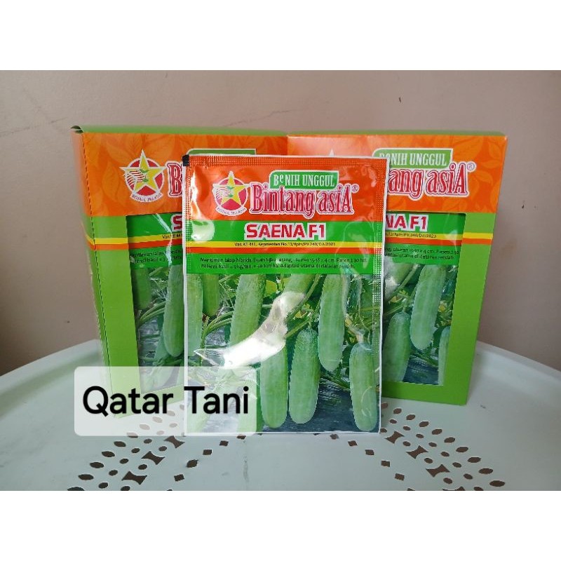 Jual Benih Timun SAENA F1 20 Gram 100 % Original | Shopee Indonesia
