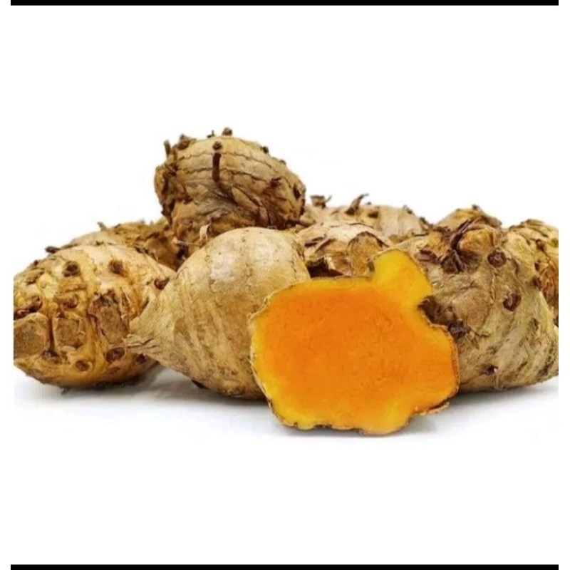 Jual Bongol temulawak isi 1 kg | Shopee Indonesia