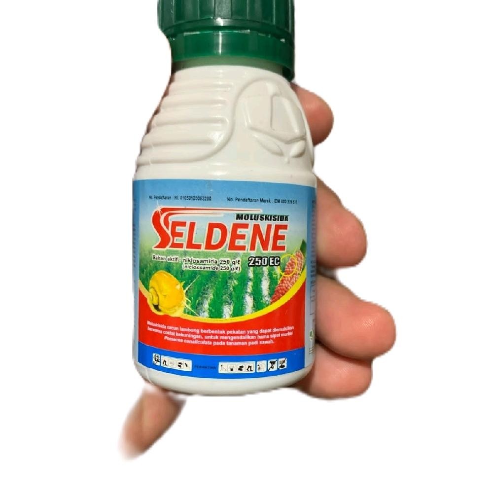 Jual SELDENE OBAT KEONG SEMPROT BEKICOT RACUN SEMPROT KEONG Tanaman ...