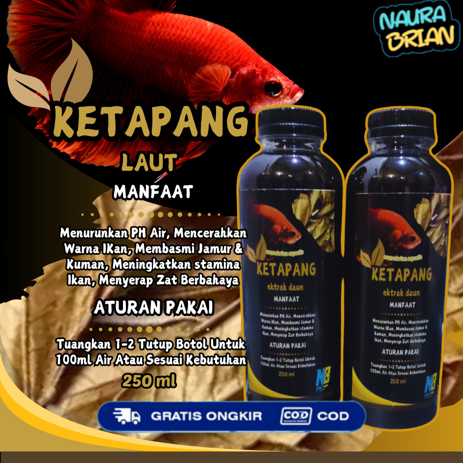 Jual Ekstrak Daun Ketapang 250ml super pekat Catappa Extract untuk ...