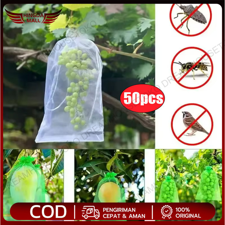 Jual 50 pcs Tas Tumbuh Buah Anggur Stroberi Tas Jaring Jaring ...