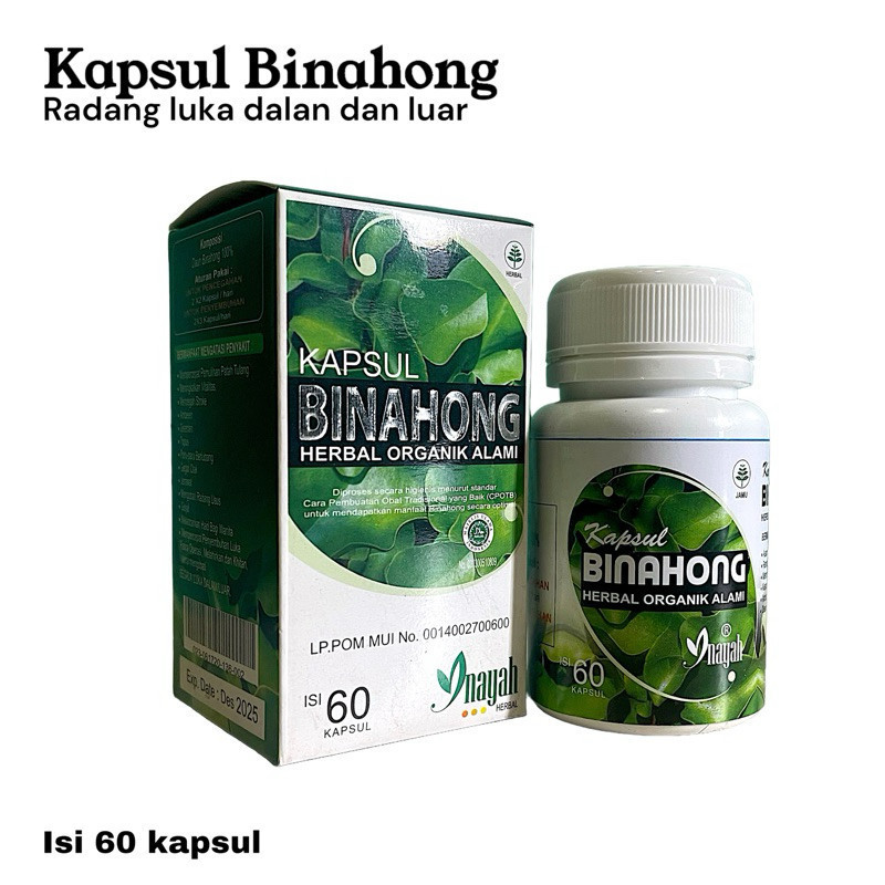 Jual BINAHONG INAYAH KAPSUL ISI 60 | Shopee Indonesia