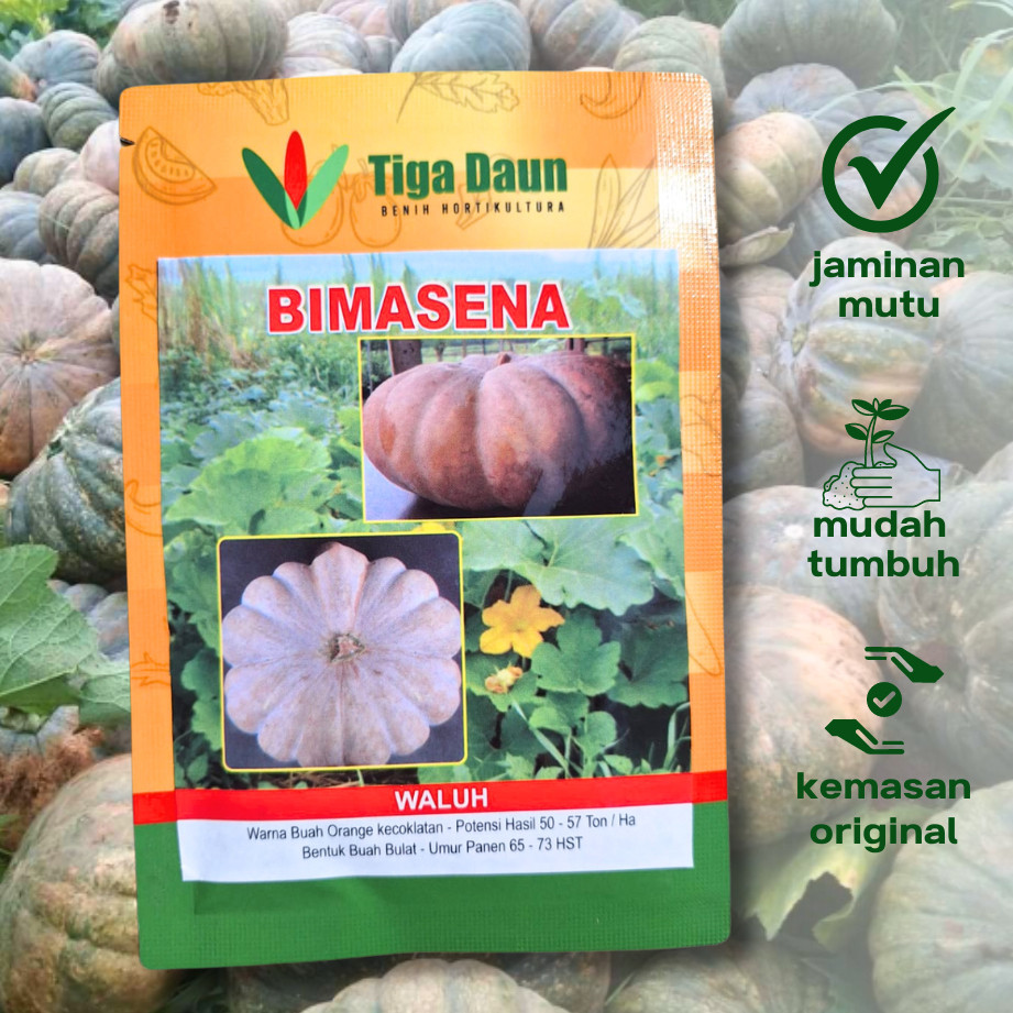 Jual Benih Labu Waluh BIMASENA 10 Gram Biji Bibit Cap TIGA DAUN Unggul ...