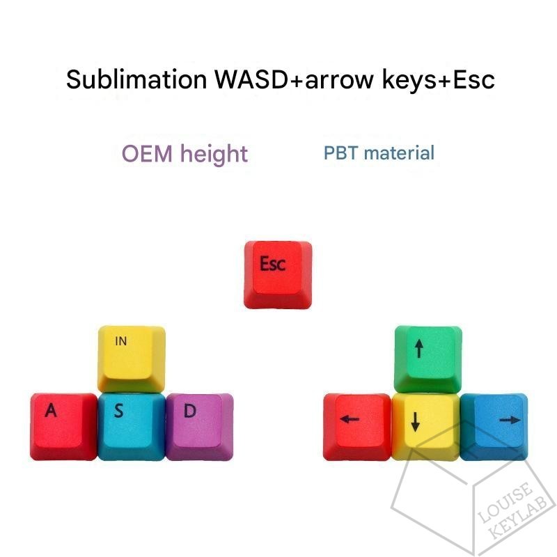 Jual Keycap PBT DyeSub 9 key 1U set OEM Profile ESC WASD Arrow RGBY ...