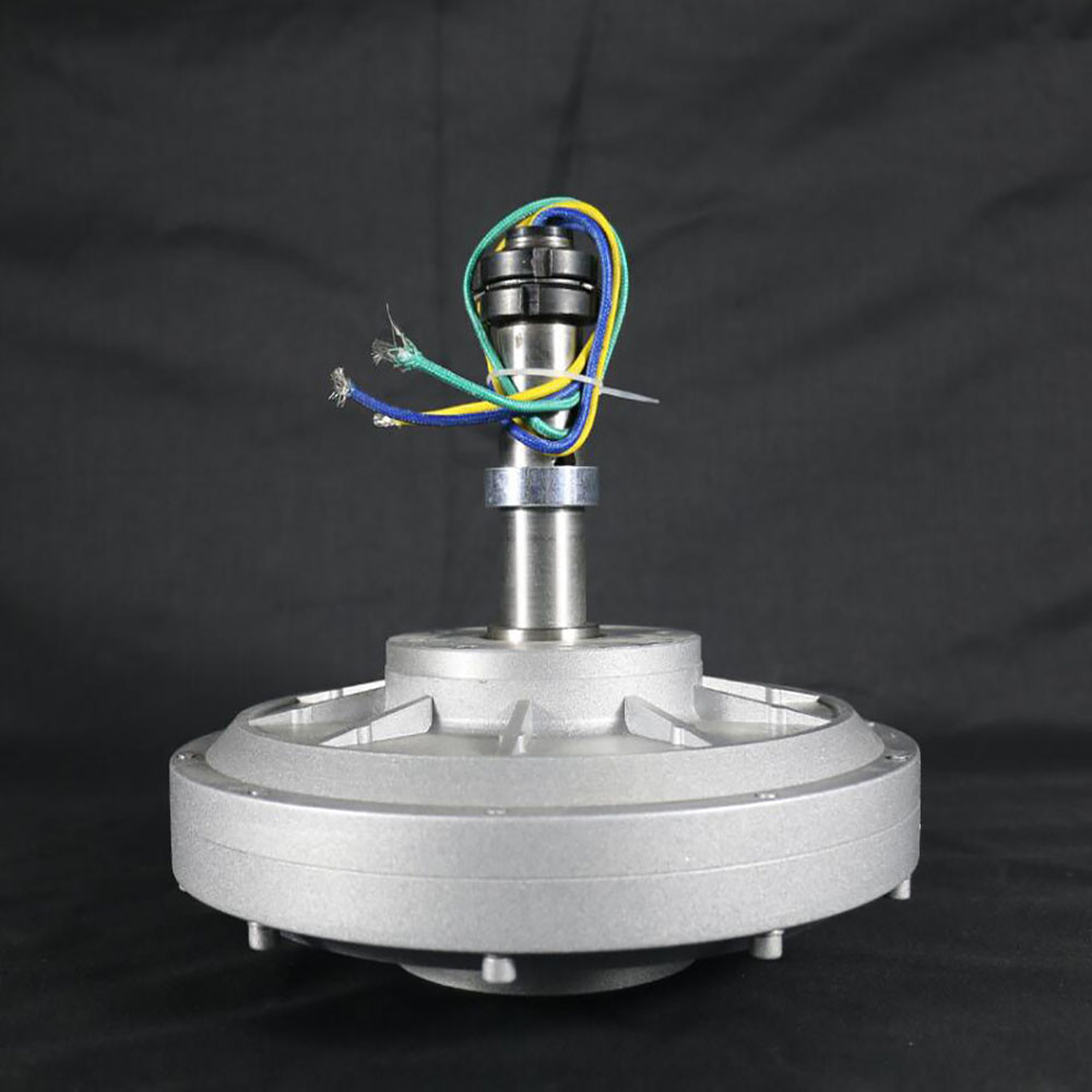 Jual 600W 800W 1000W 2000W 12V 24V 48V Vertical Permanent Magnet ...