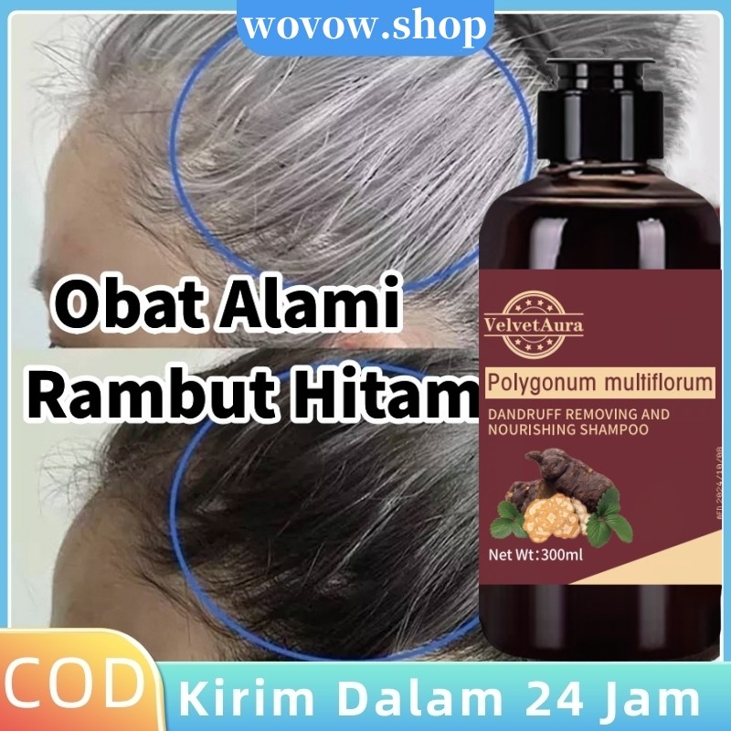 Jual 300ml Shampo Penghilang Uban Permanen Penghitam Black Herbal ...