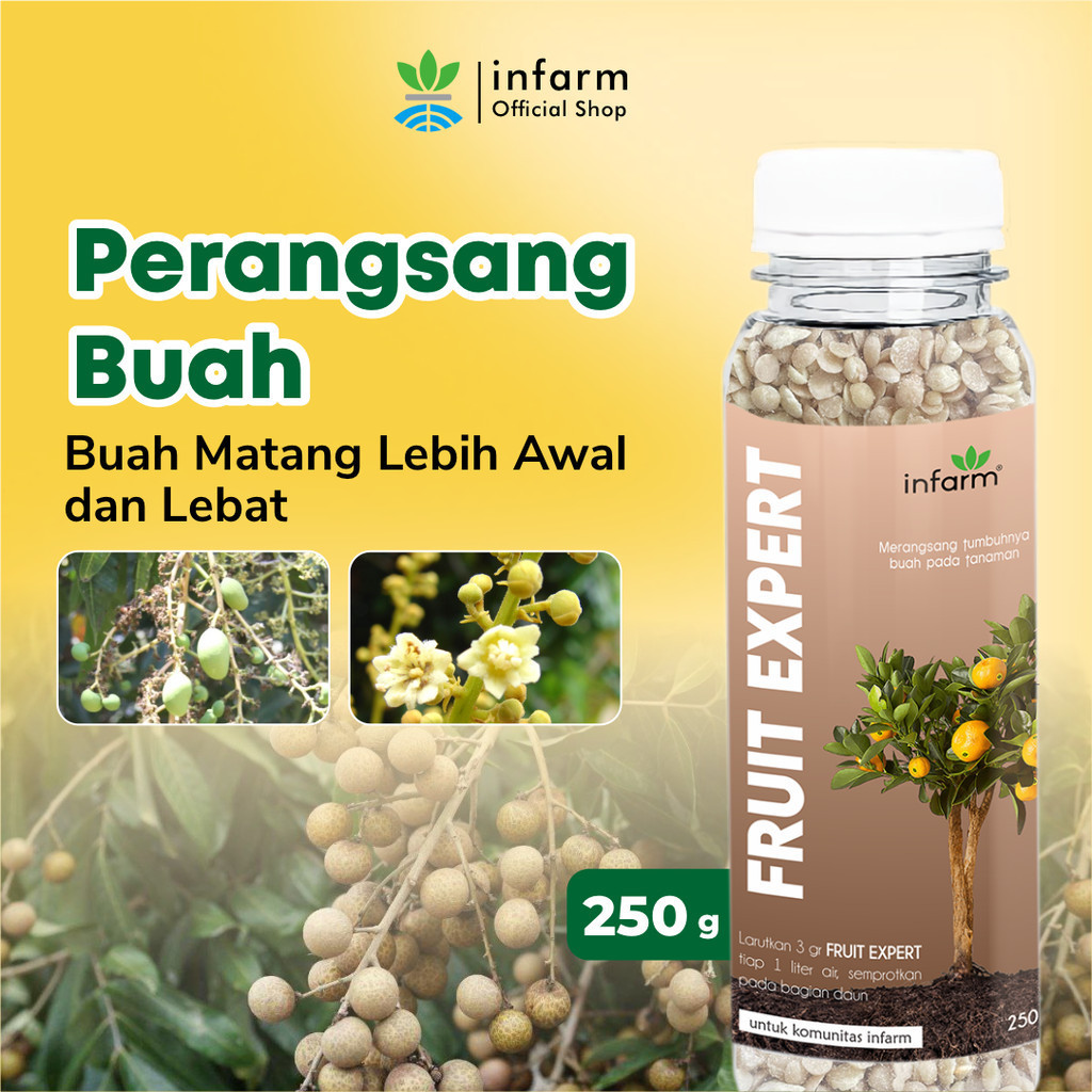 Jual INFARM - Pupuk Perangsang Buah Pupuk Fruit Expert Asupan Nutrisi ...