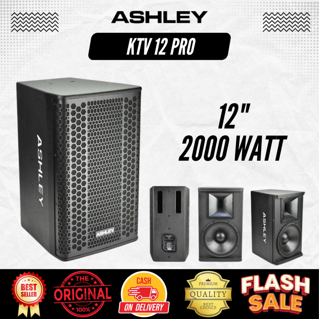 Jual Speaker Pasif 12 Inchi Ashley KTV 12 Pro | Shopee Indonesia