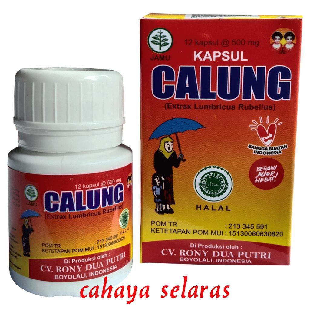 Jual CALUNG KAPSUL CACING ISI 12 KAPSUL | OBAT TIPES | Shopee Indonesia