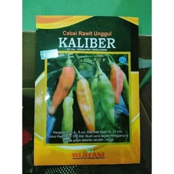Jual Benih Cabe Kaliber 10gr CRM Kaliber Unggul Original Wijitani Merah ...