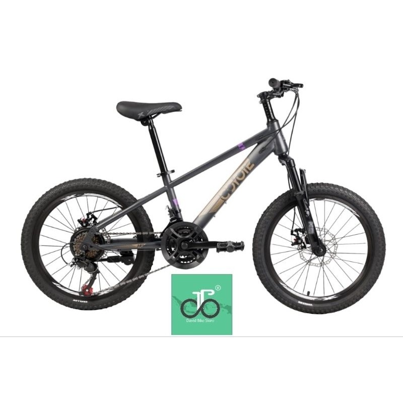 Jual Sepeda MTB 20" Element Coyote TERBARU 21speed | Shopee Indonesia