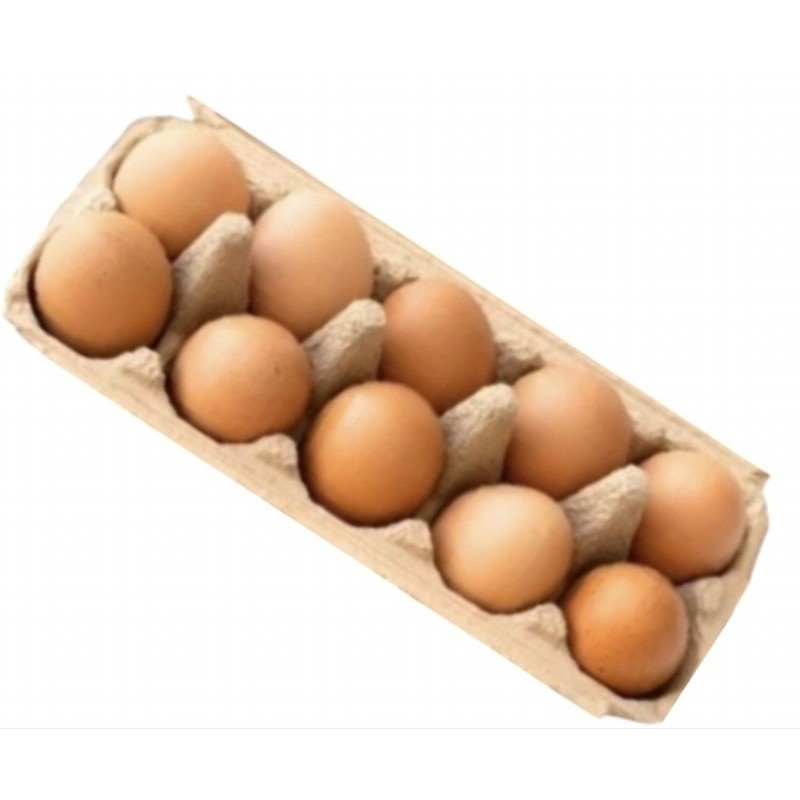 Jual PROMO!!! telur ayam ras 10 butir / TELUR AYAM FRESH | Shopee Indonesia