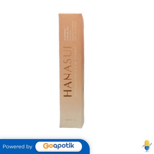 Jual Hanasui Mattedorable Lip Cream 08 Fancy 4 Gram | Shopee Indonesia