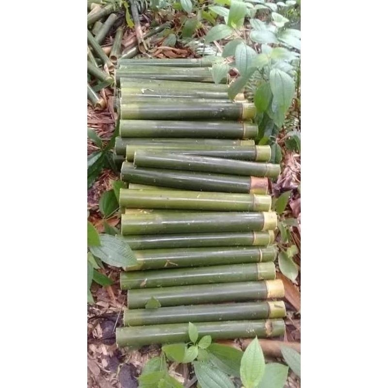 Jual bambu bulat, bahan kerajinan bambu, potongan bambu bulat | Shopee ...