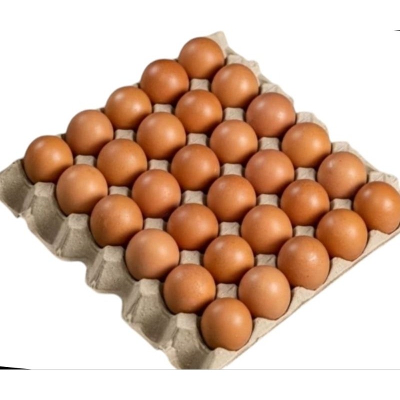 Jual Telur ayam ras 1rak isi 30 butir FRESH BY JJS | Shopee Indonesia