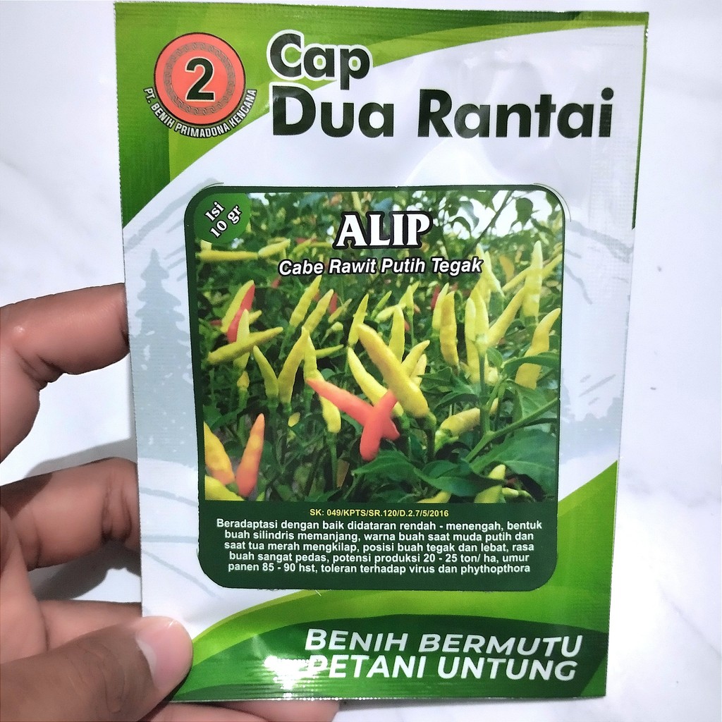 Jual Benih Cabe Cabai Rawit Putih Tegak ALIP 10 gram Biji Bibit Cap Dua ...