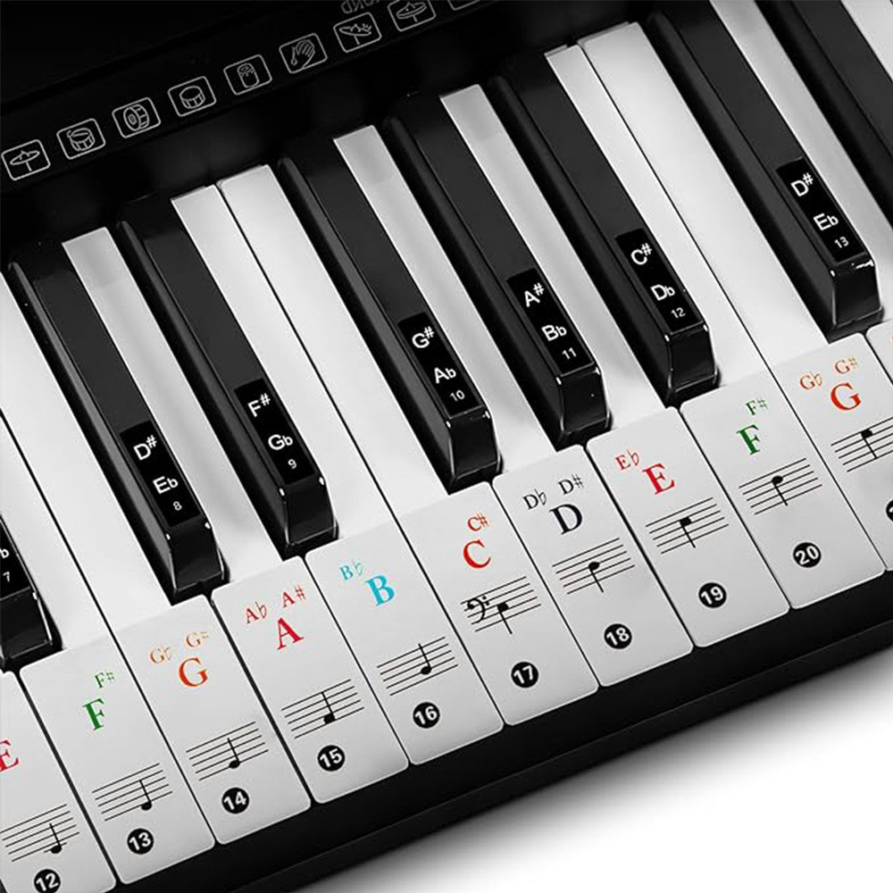 Jual Transparent Piano Keyboard Stickers 49/54/61/88 Key Detachable ...