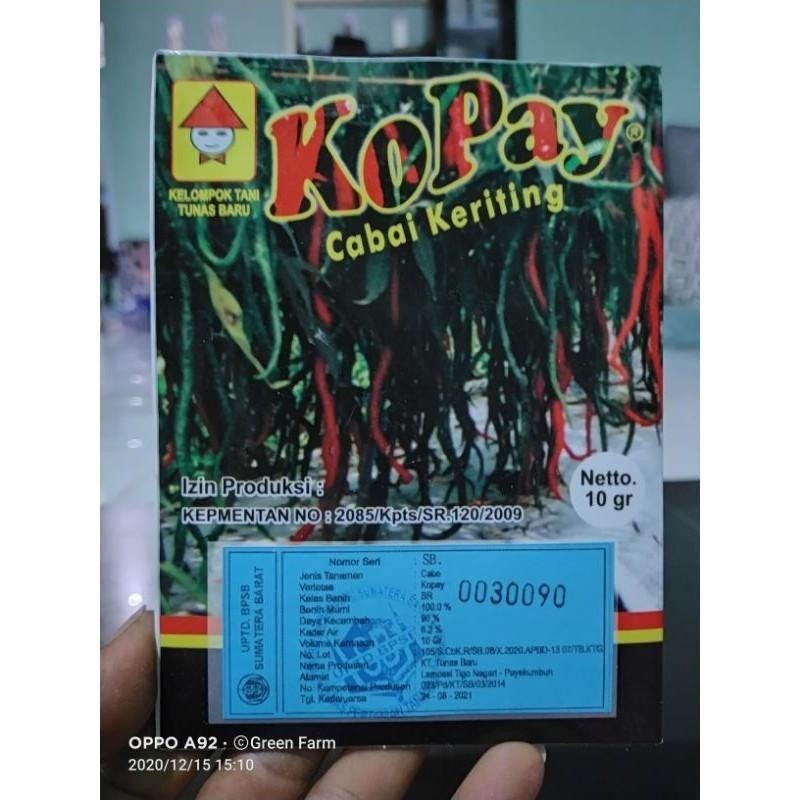 Jual Benih Cabe Kriting Kopay Lokal Sumatra Barat kemasan 10gr Original ...