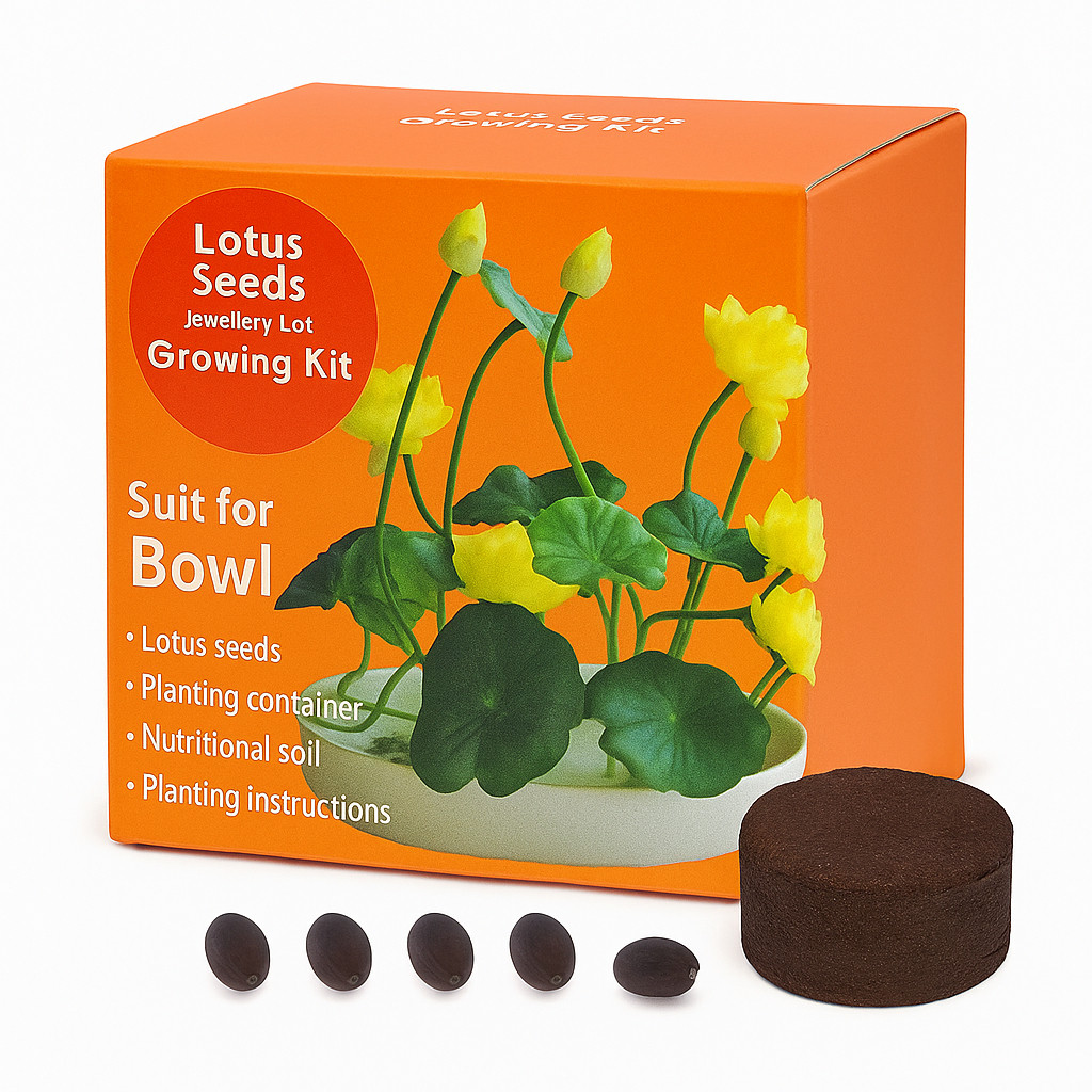 Jual Biji Benih Lotus Mini Bunga Teratai Varian Warna Ditanam Dalam ...