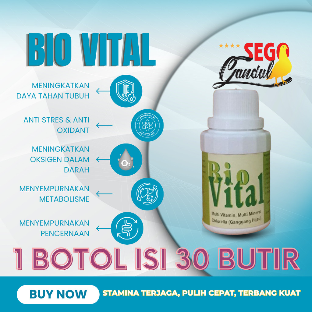 Jual Aristol Bio Vital Biovital multi vitamin multi mineral merpati 1 ...