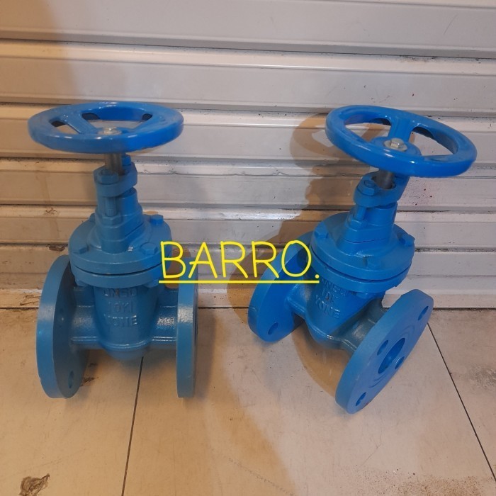 Jual Gate Valve Cast Iron 3" Inch DN65 Flange JIS 10K | Shopee Indonesia