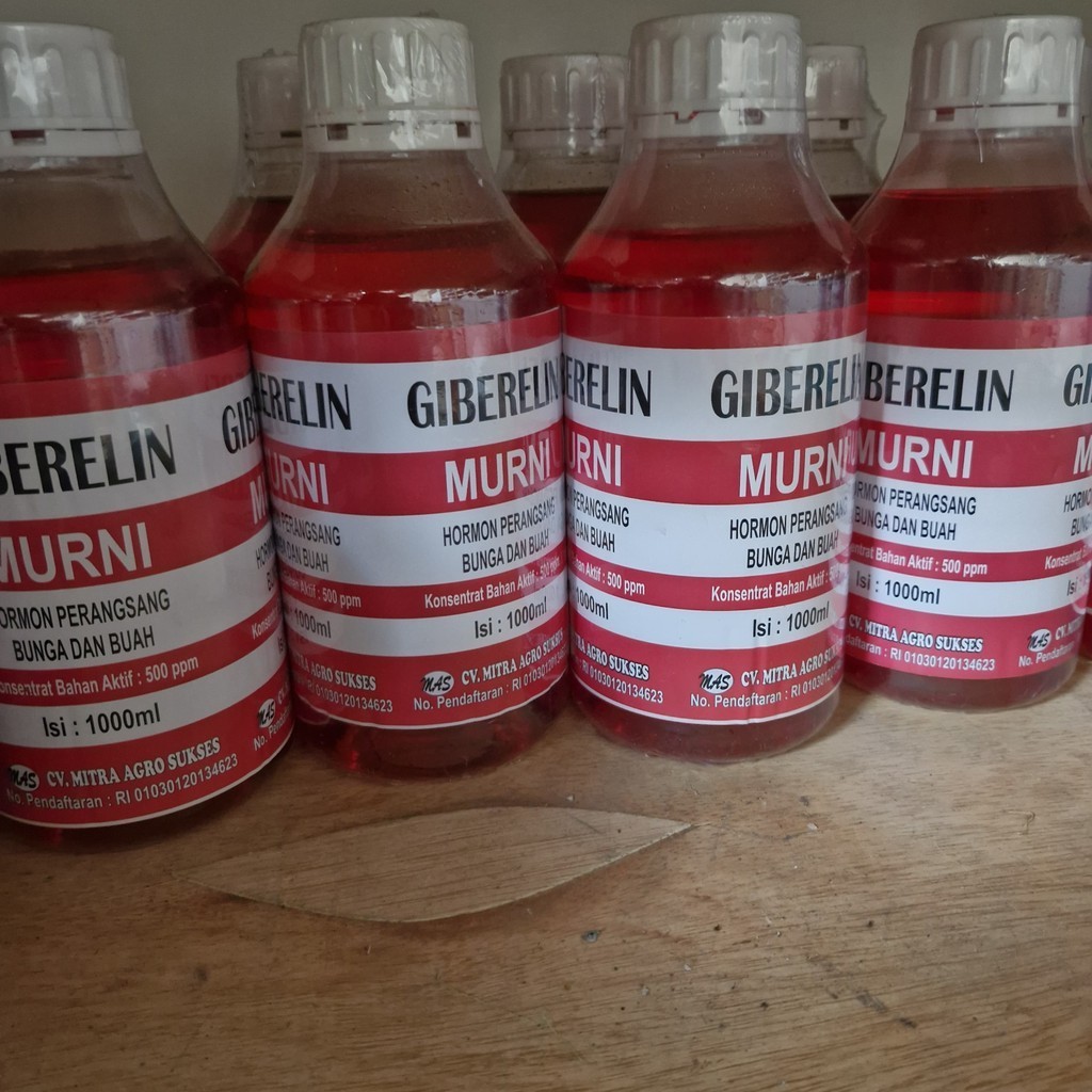 Jual Giberelin Murni 1 Liter – Hormon Perangsang Bunga dan Buah ...