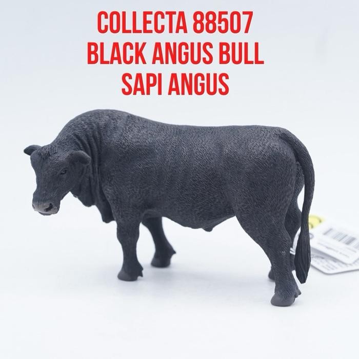 Jual Collecta 88507 Black Angus Bull Cow Bos Taurus Sapi Aberdeen Angus ...