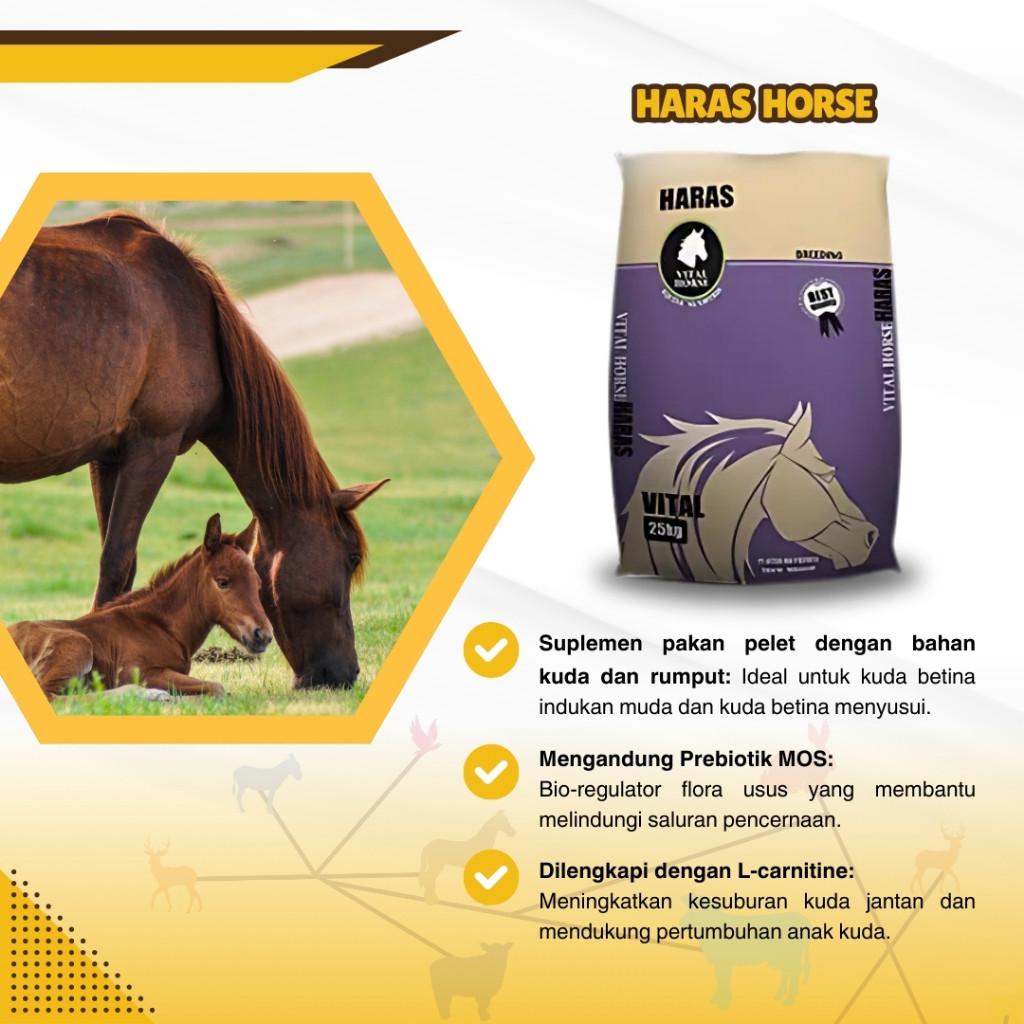 Jual GOJEK/GRAB Makanan pakan Pelet kelinci kuda HARAS 25KG Rabbit food ...