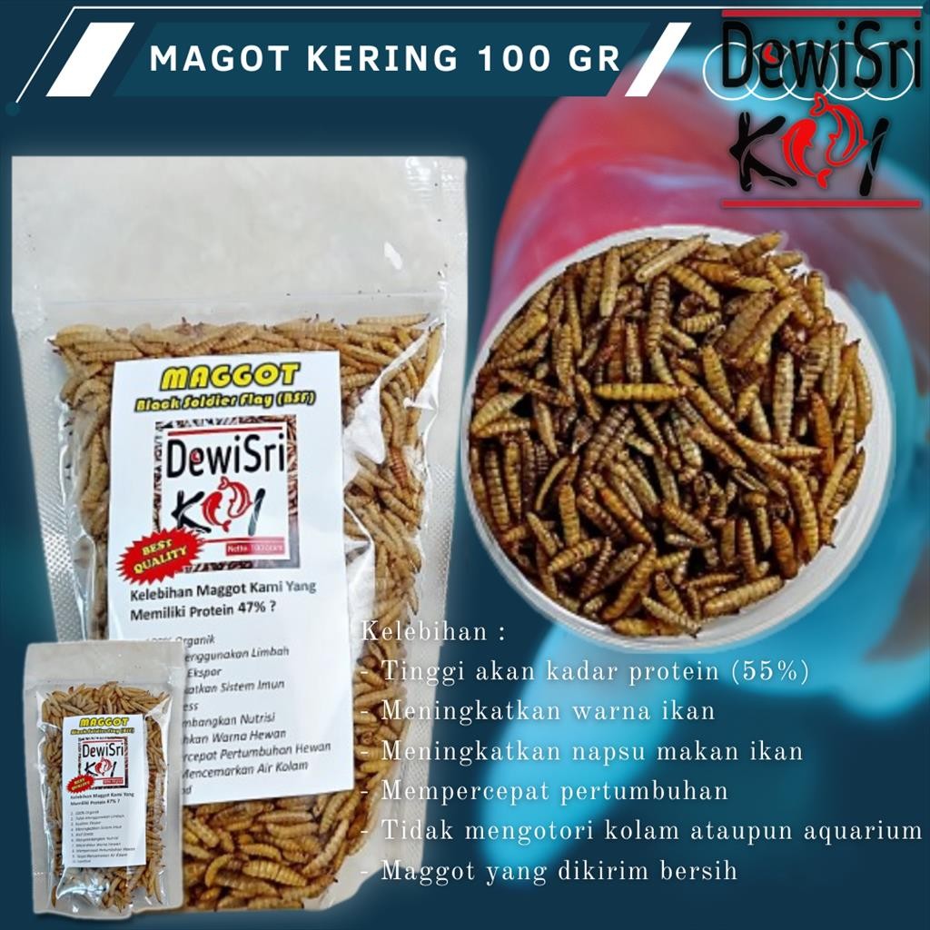 Jual Magot Kering Maggot Protein 100GR Tingkat Tinggi Pakan Ikan Media ...