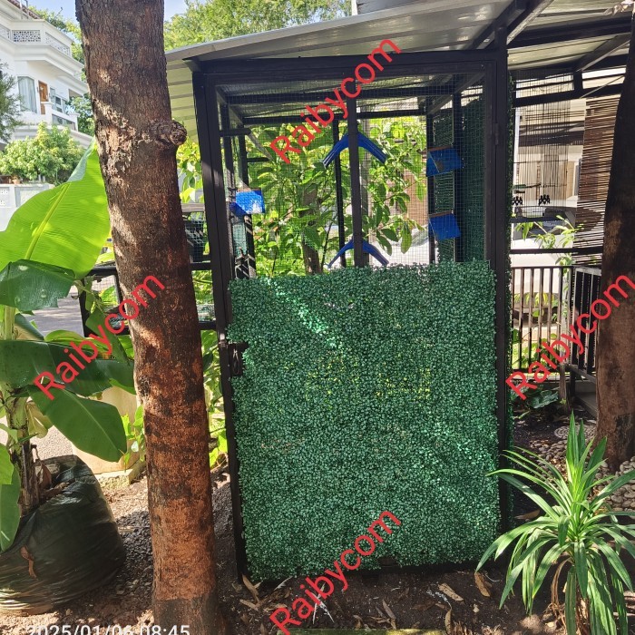 Jual Kandang Aviary Ternak Koloni Hewan Besi Outdoor Burung Merpati ...