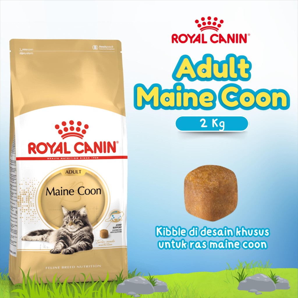 Jual ROYAL CANIN ADULT MAINE COON 2KG Dryfood Makanan Kucing Dewasa ...