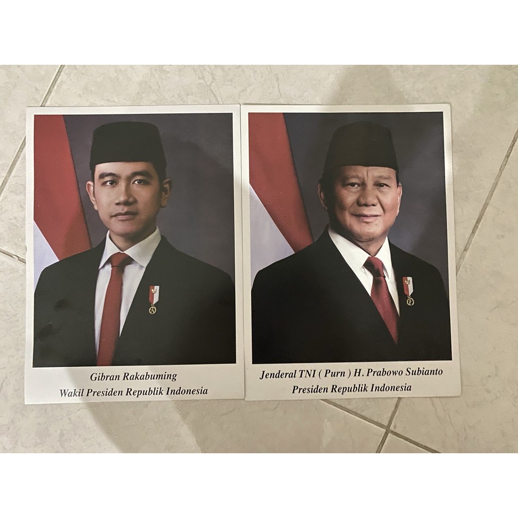 Jual Poster Presiden dan Wakil Presiden 2024-2029 Prabowo dan Gibran 25x35 cm Art Paper | Shopee ...