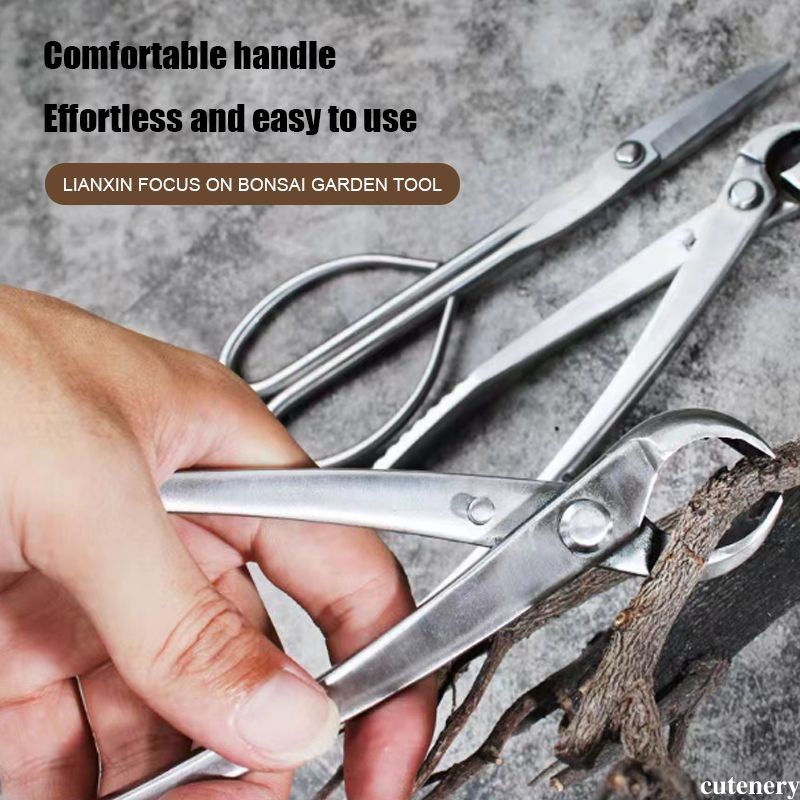 Jual Gunting Bonsai Pemotong Bunga Dahan Ranting Bengkok Merapikan ...