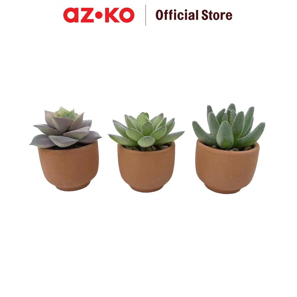 Jual AZKO Arthome Set Tanaman Artifisial Sukulen Mini Teacup Tumbuhan ...