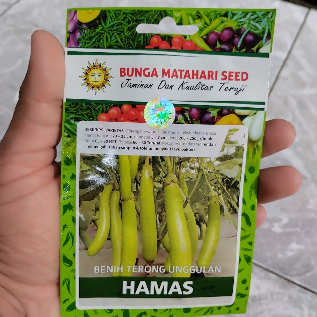 Jual Benih SP Terong Hijau Hamas isi 500 Biji Bibit Cap Bunga Matahari ...
