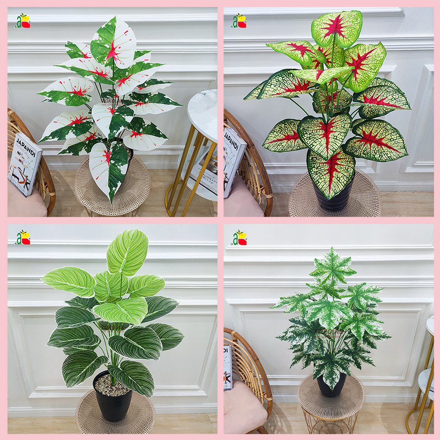 Jual B8180 TANAMAN ARTIFICIAL AGLONEMA MONSTERA KELADI VARIASI NO.1-10 ...
