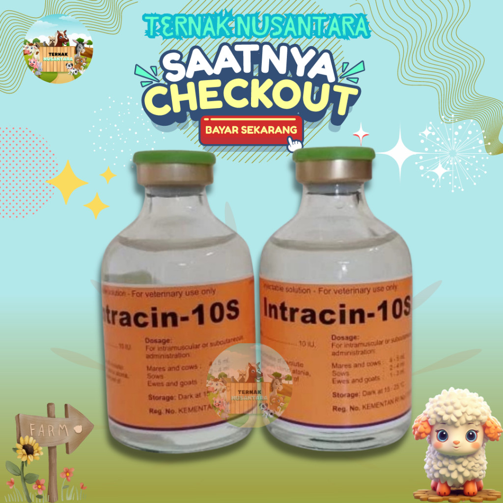 Jual INTRACIN 10S 50 ML - Hormon Perangsang Kontraksi Uterus dan Kelenjar Mamae | Shopee Indonesia