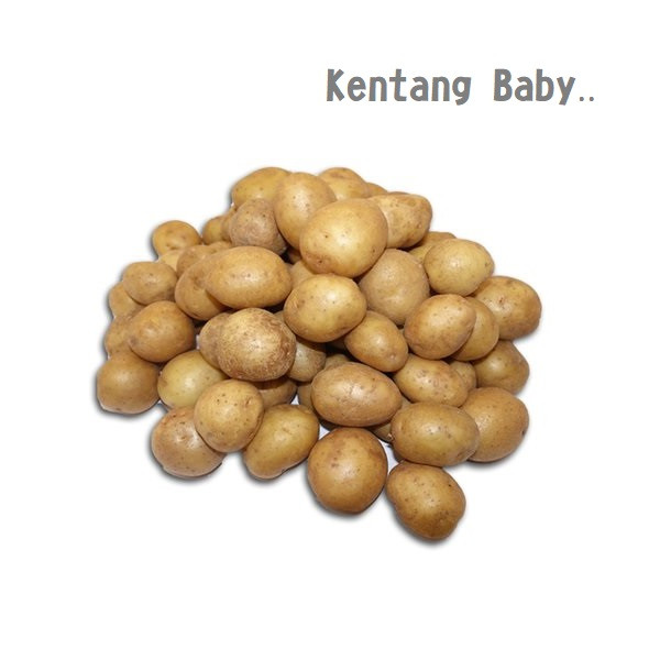 Jual Kentang Baby 1kg – Ukuran kecil, segar, dan praktis. | Shopee ...