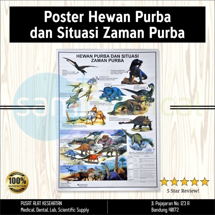 Jual Poster Gambar Hewan Purba dan Situasi Zaman Purba | Shopee Indonesia