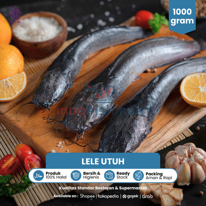 Jual Ikan Lele Utuh/Whole Bersih Beku Frozen - 500 gram | Shopee Indonesia