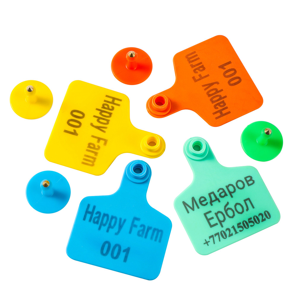 Jual Custom Farm Animal Ear Tags Cattle Ear Tag Pig Ear Tag Sheep Ear ...