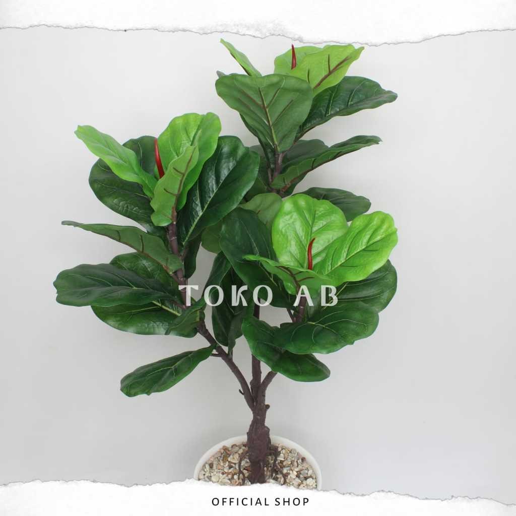 Jual Tanaman daun ketapang plastik akar mb 3 cabang B8411 daun plastik ...