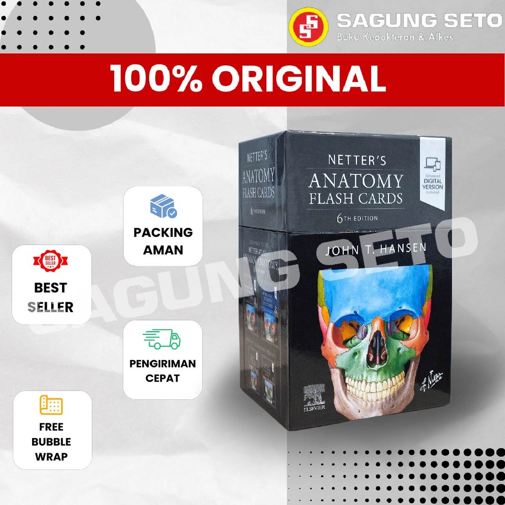 Jual ATLAS NETTERS ANATOMY FLAS CARDS 6ED - HANSEN | Shopee Indonesia