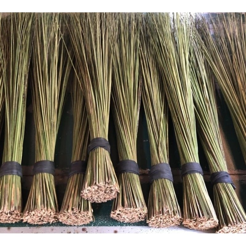 Jual sapu lidi aren/kawung kualitas super.. | Shopee Indonesia