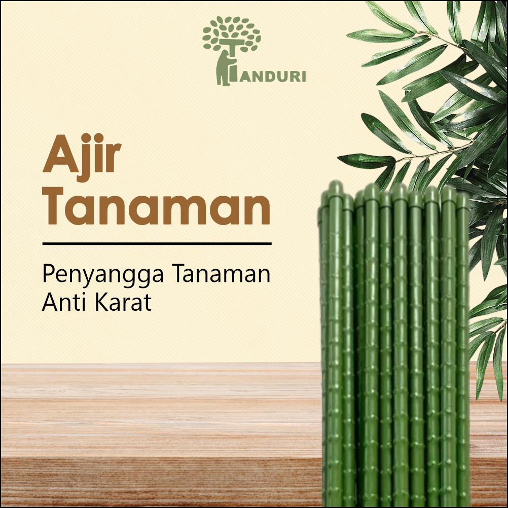 Jual TANDURI - Ajir Tongkat Penyangga Tanaman Ra mbat Ukuran 75 cm Anti ...