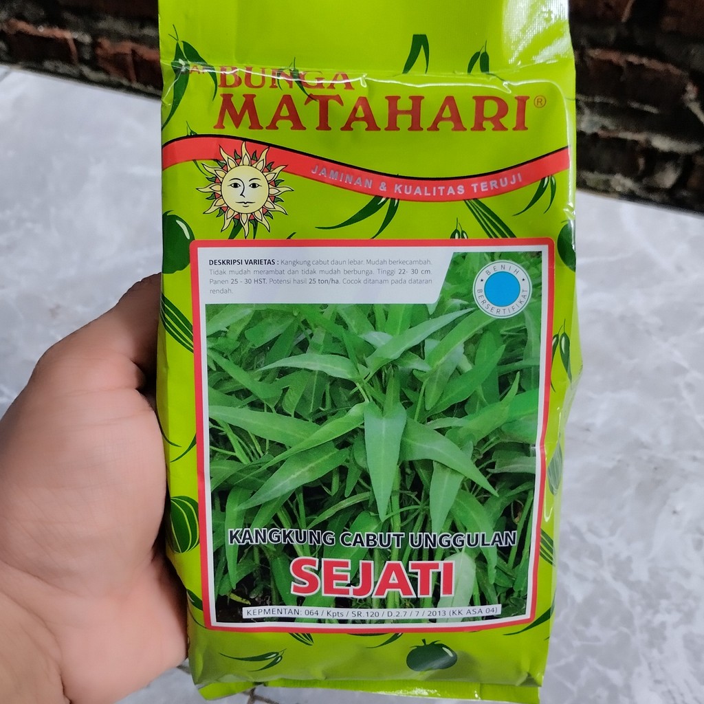 Jual Benih Kangkung SEJATI Daun Lebar 500 gram Cap Bunga Matahari Seed ...