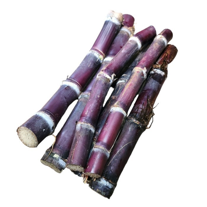 Jual Tebu Hitam Segar 1 Meter Wulung Ireng Untuk Konsumsi Dan Ritual ...