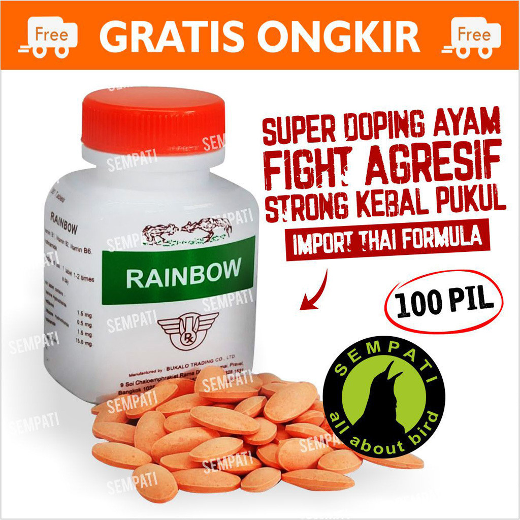Jual SEMPATI Rainbow Ayam Rambo Multi Vitamin Ayam Bangkok Obat ...